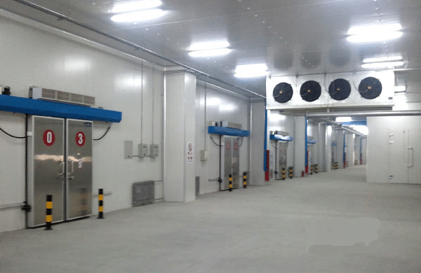 large cold storage - ART Refrigeration
